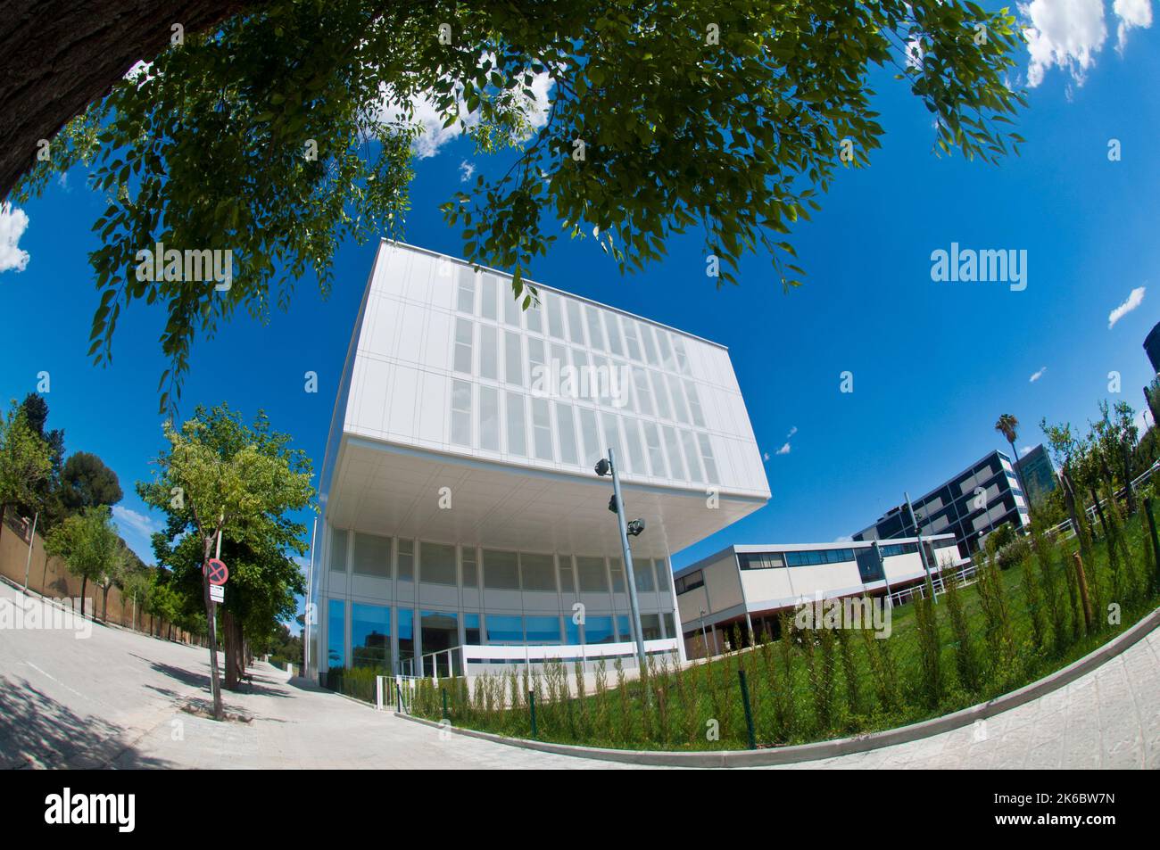 Ojo blanco hi-res stock photography and images - Alamy