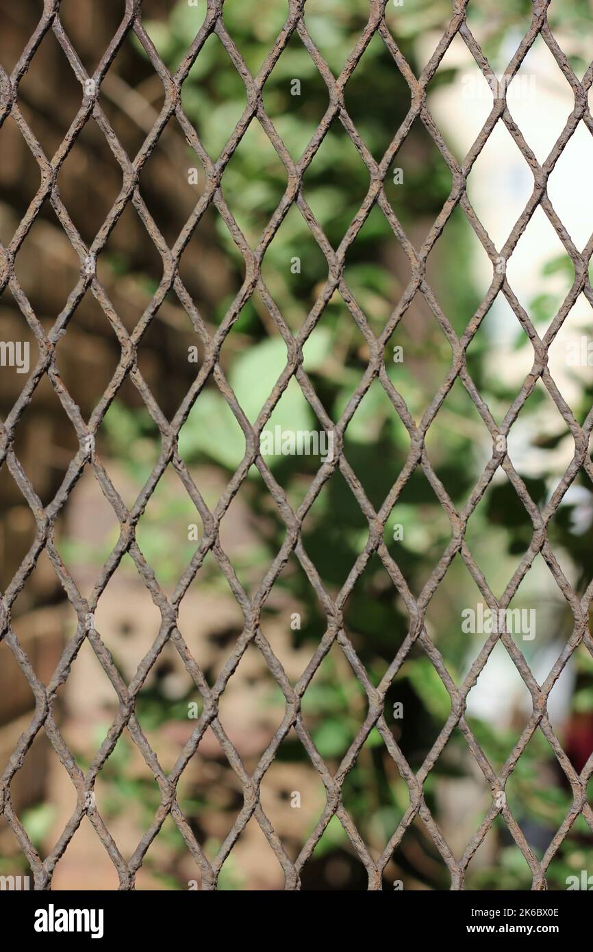 Typical industrial metal mesh grid grate surrounding the garden Stock ...
