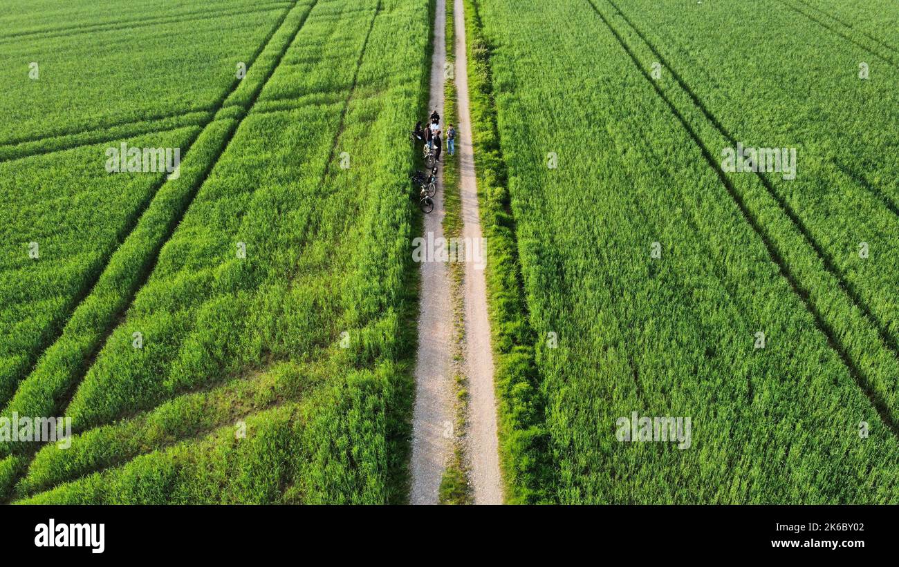 An aerial view of a narrow path with cyclists surrounded by green grass ...