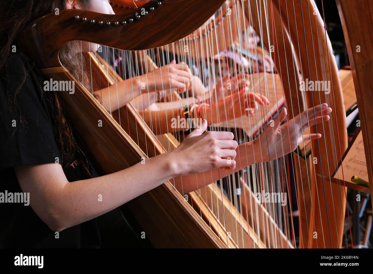 Harp national symbol of ireland hi-res stock photography and images - Alamy