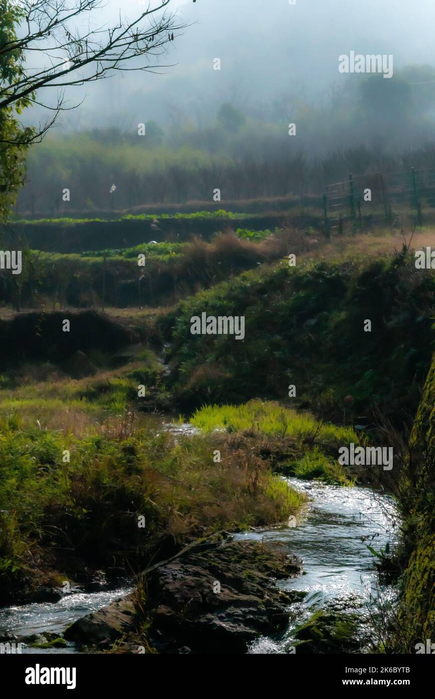 A vertical shot of a stream flowing in the countryside Stock Photo - Alamy
