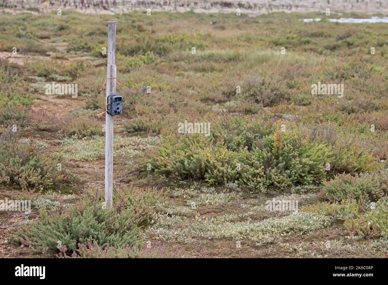 Camera trap hi-res stock photography and images - Alamy