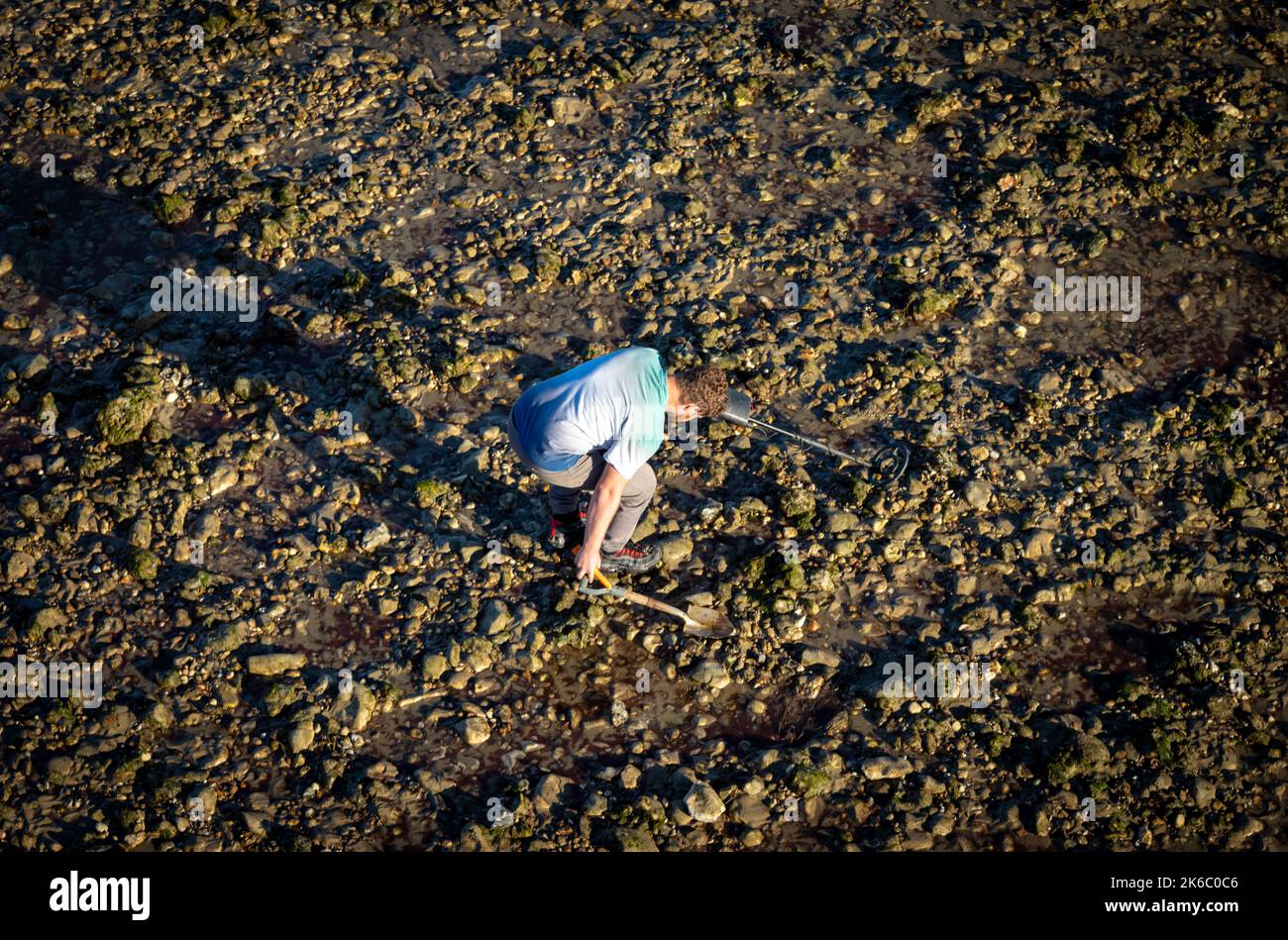 A male metal detectorist searches for long lost items in the late ...