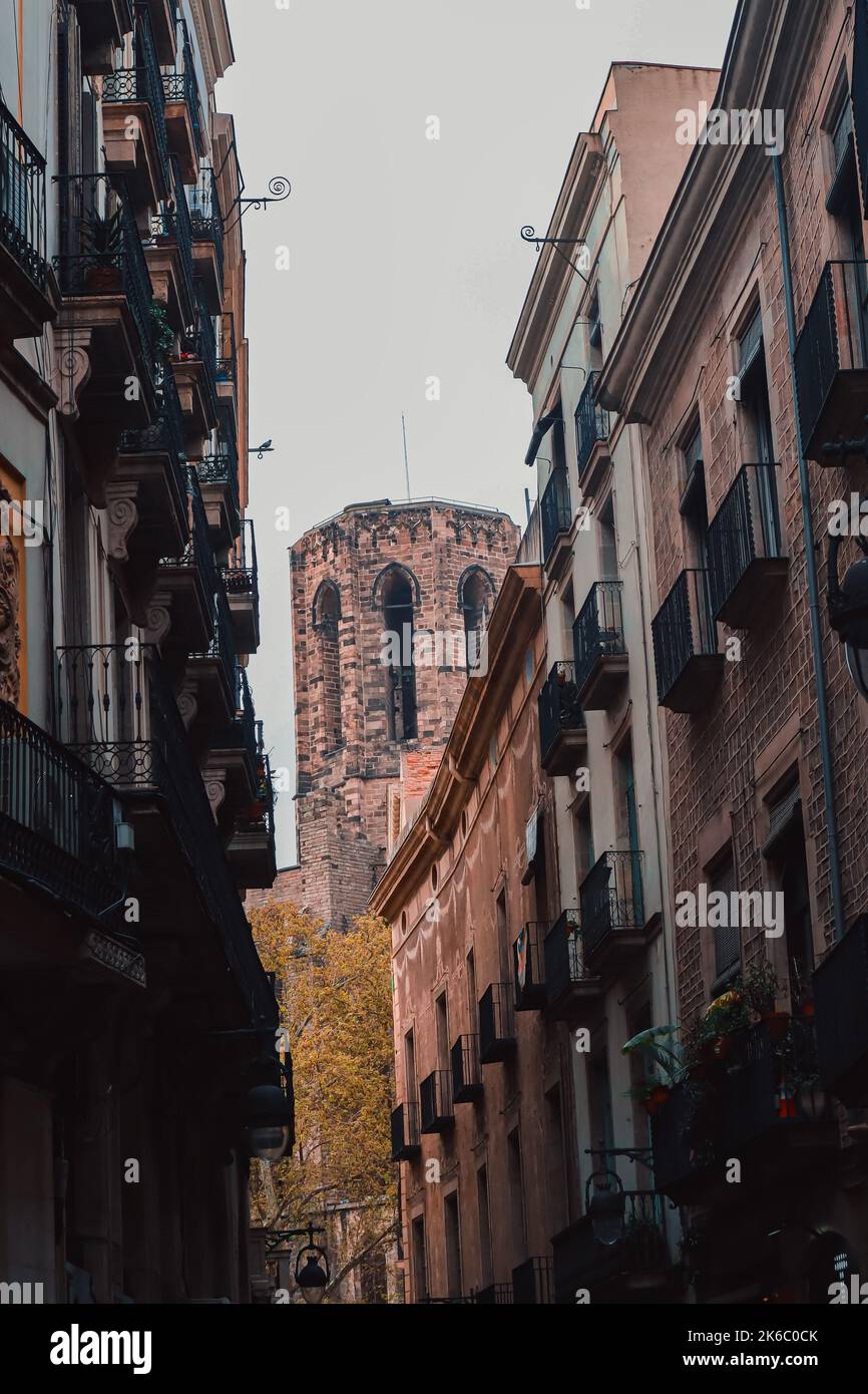 A vertical of buildings on the street of Carrer Del Pi, Barcelona ...