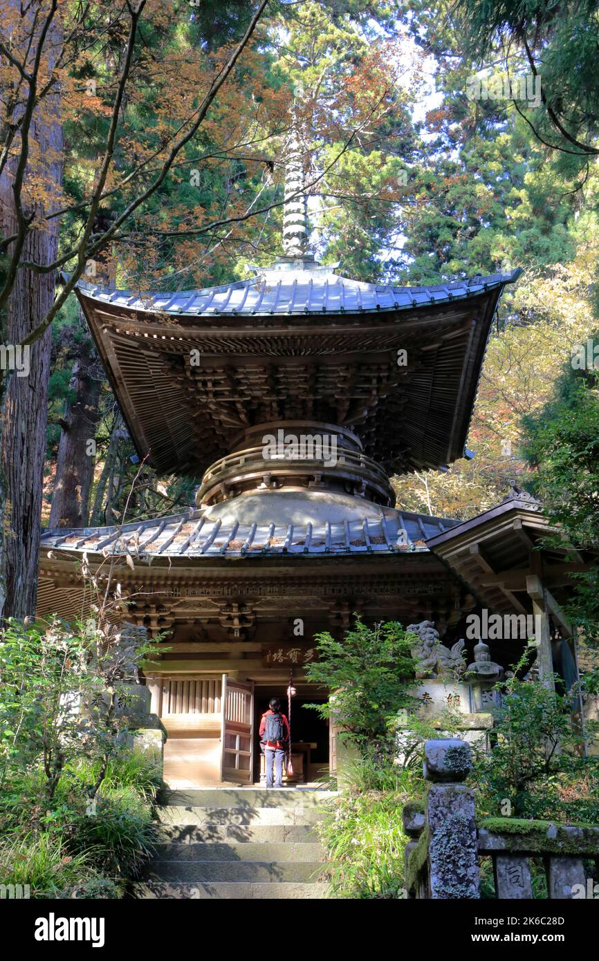 Saijoji Temple Minami-Ashigara city Kanagawa Japan Stock Photo - Alamy
