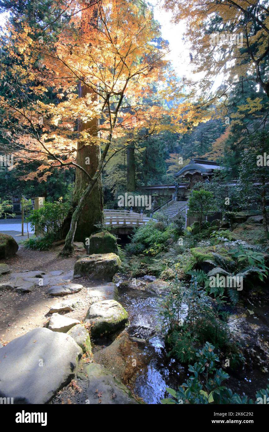 Saijoji Temple Minami-Ashigara city Kanagawa Japan Stock Photo - Alamy