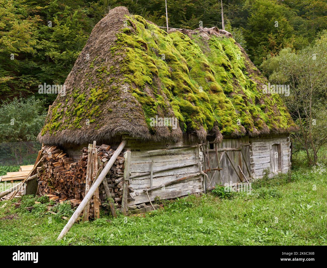 A fairytale barn with moss on the roof in the enchanted forest Stock ...