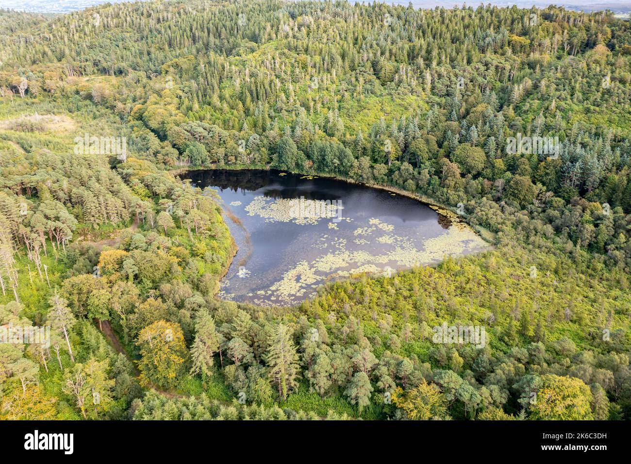 Aerial view of Lough Lily at Ards Forest Park in County Donegal ...