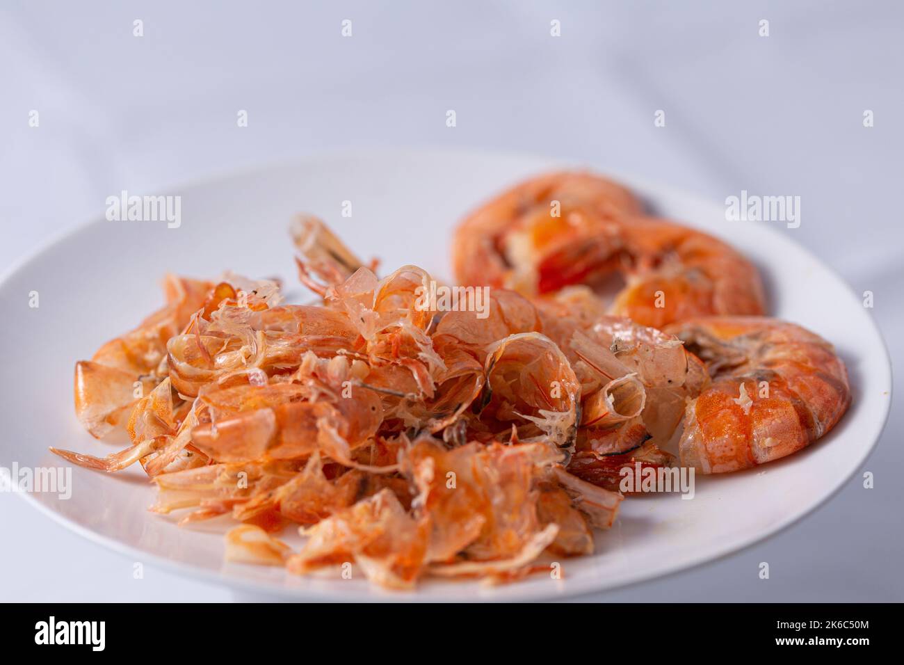 Waste sea shells hi-res stock photography and images - Alamy