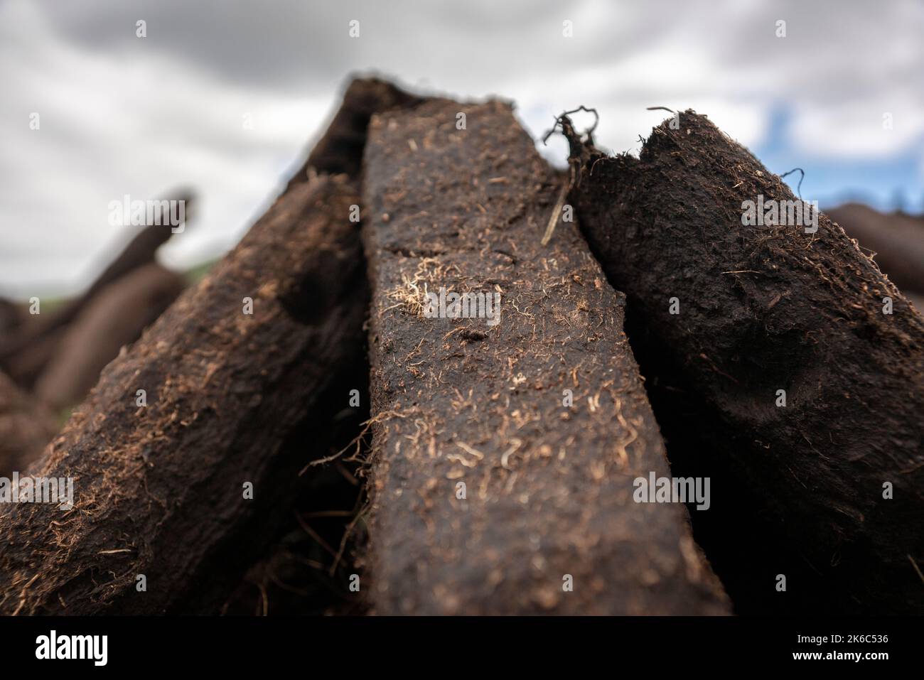 Machine-cut turf is drying in the vast landscape of north-west Ireland ...
