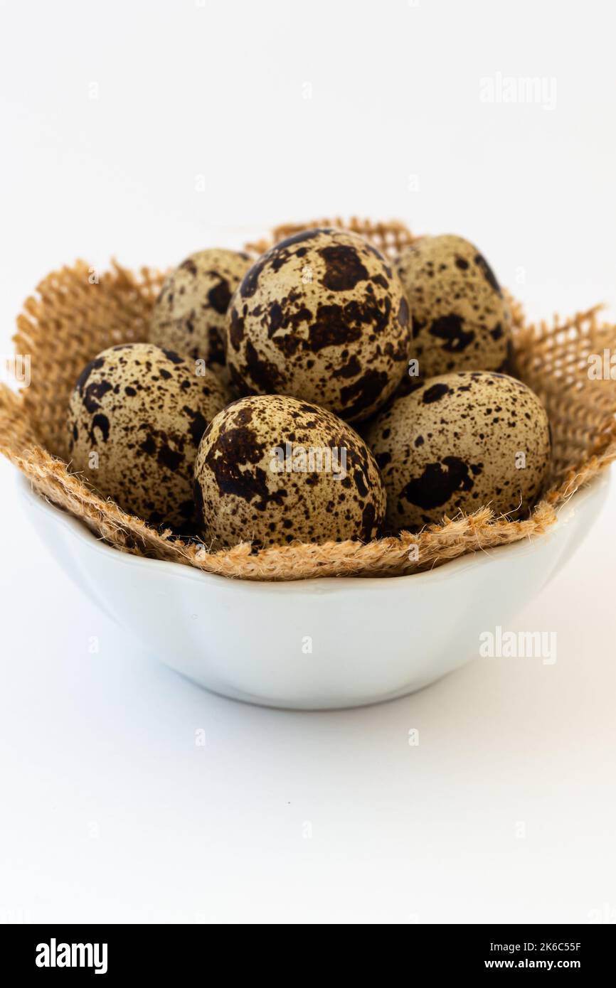 White bird eggs hi-res stock photography and images - Alamy