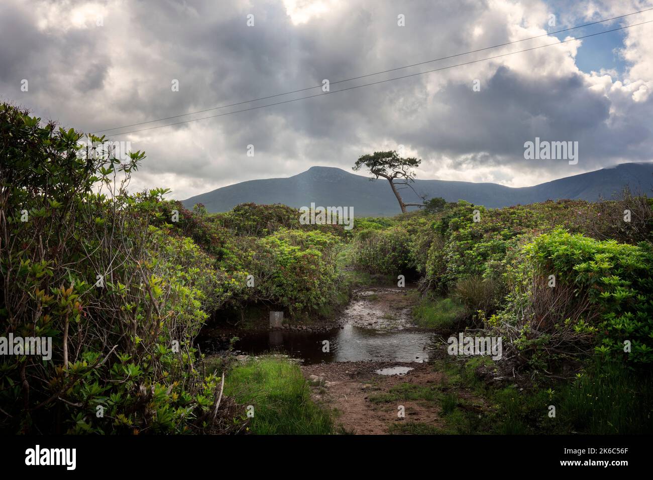 Narrow crossing of the Owenduff River in the wilderness of Wild Nephin ...
