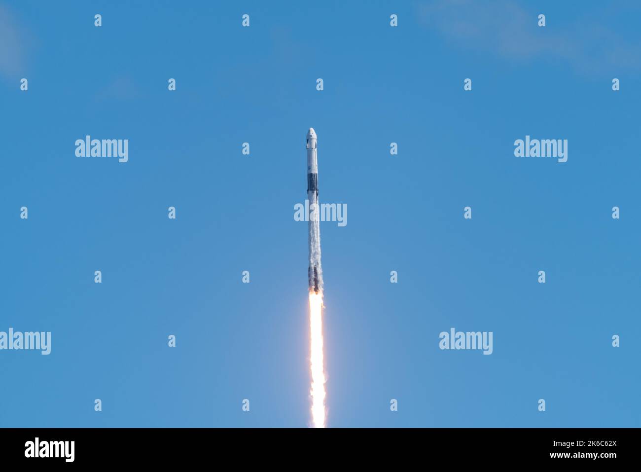 SpaceX/NASA Crew-5 Launch Stock Photo - Alamy
