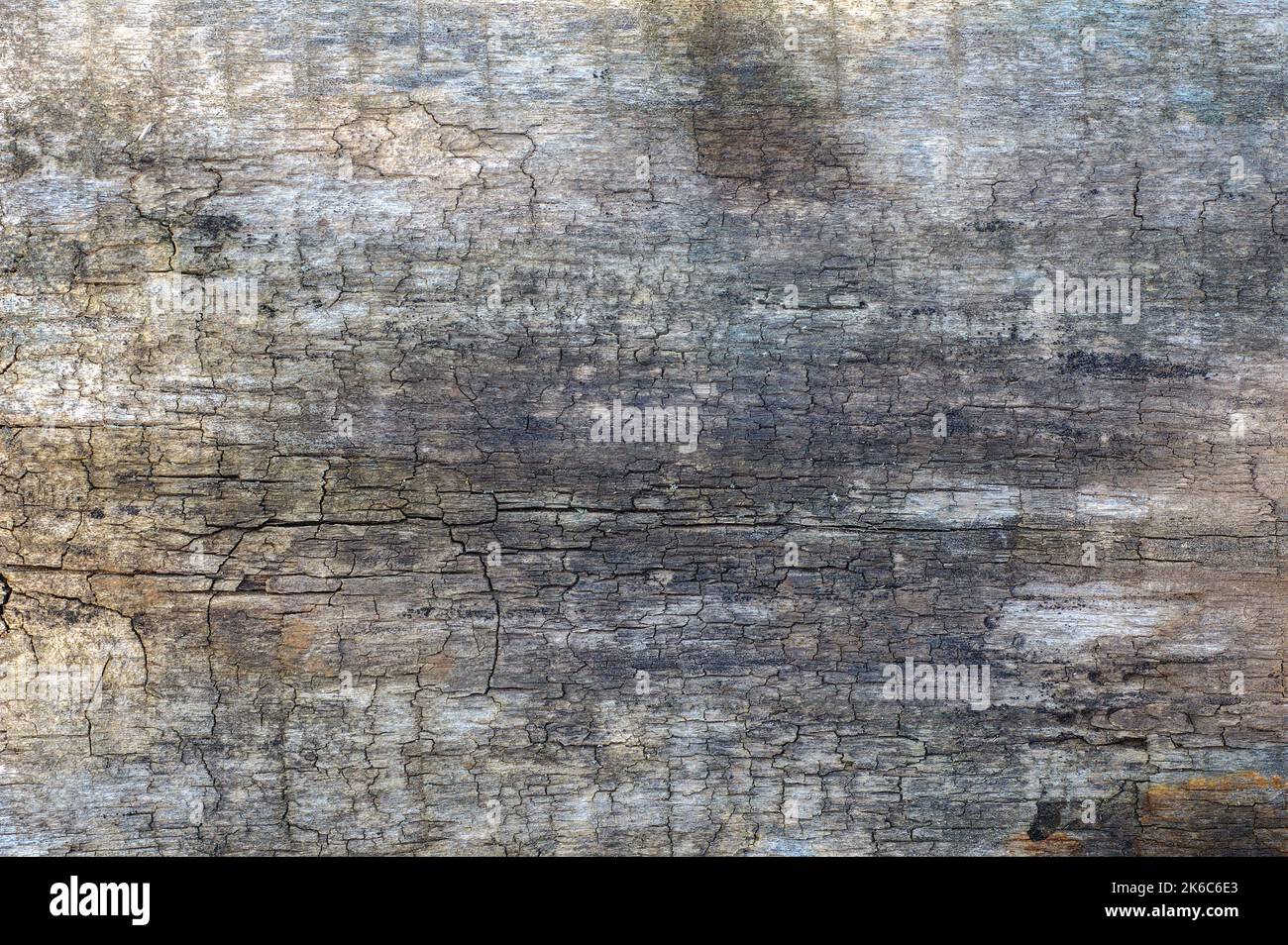Surface of old wood texture, desk texture, wooden surface Stock Photo ...