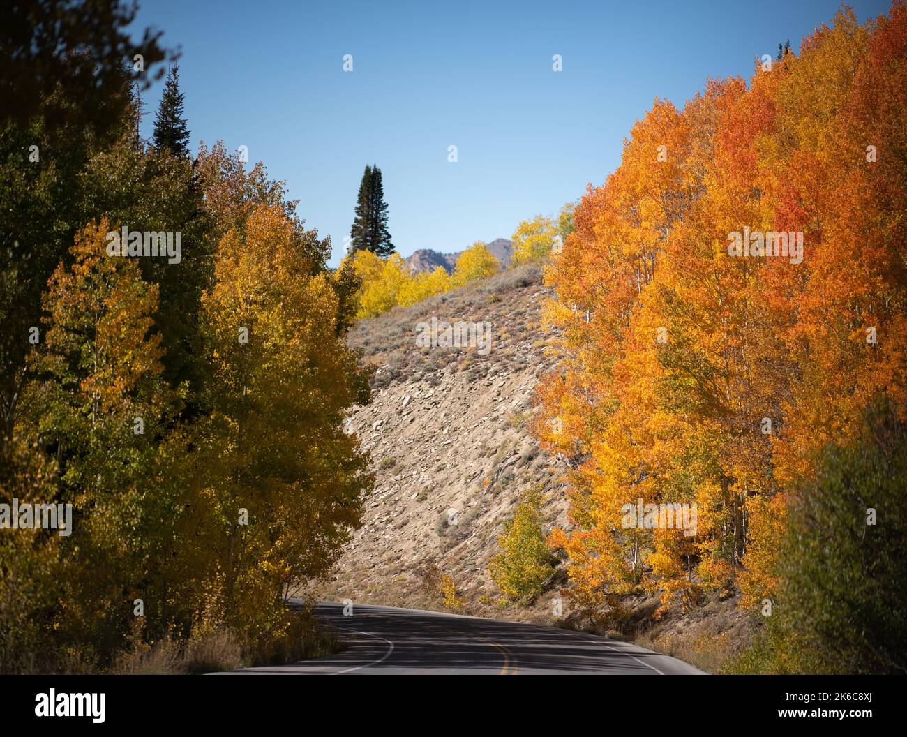 A beautiful shot of green and orange autumn trees on the side of a ...