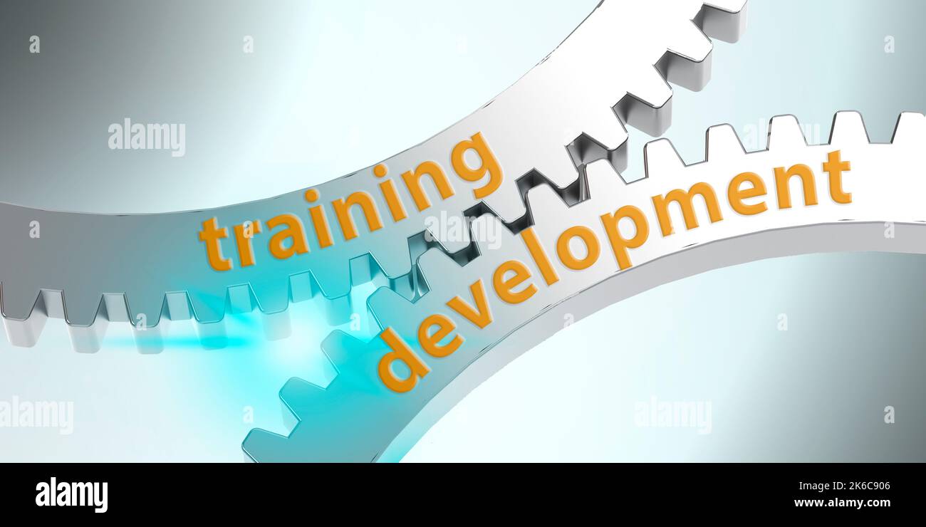 Training and development word on gears, 3d rendering Stock Photo - Alamy