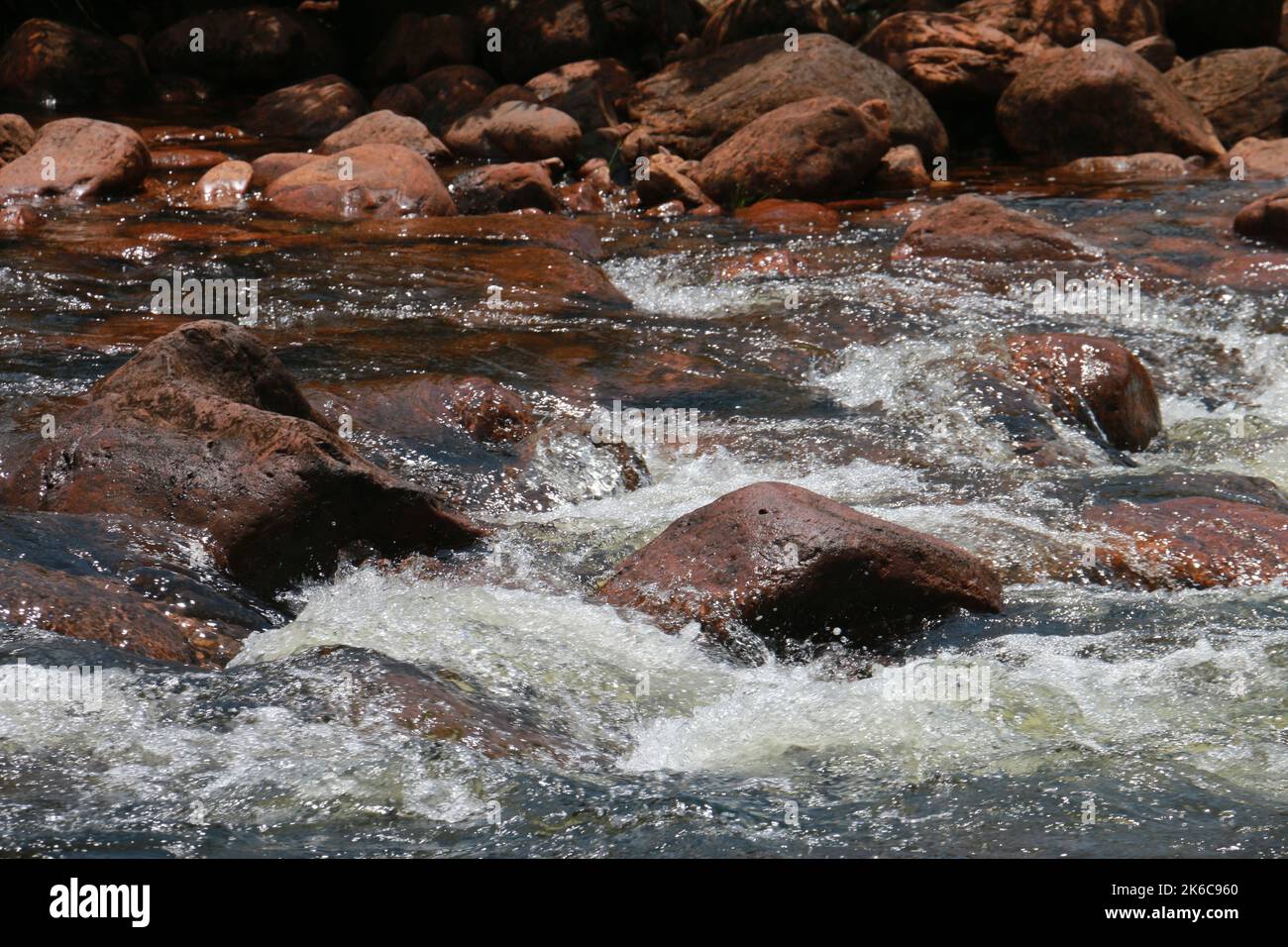 A raging river water with big rocks and trees Stock Photo - Alamy
