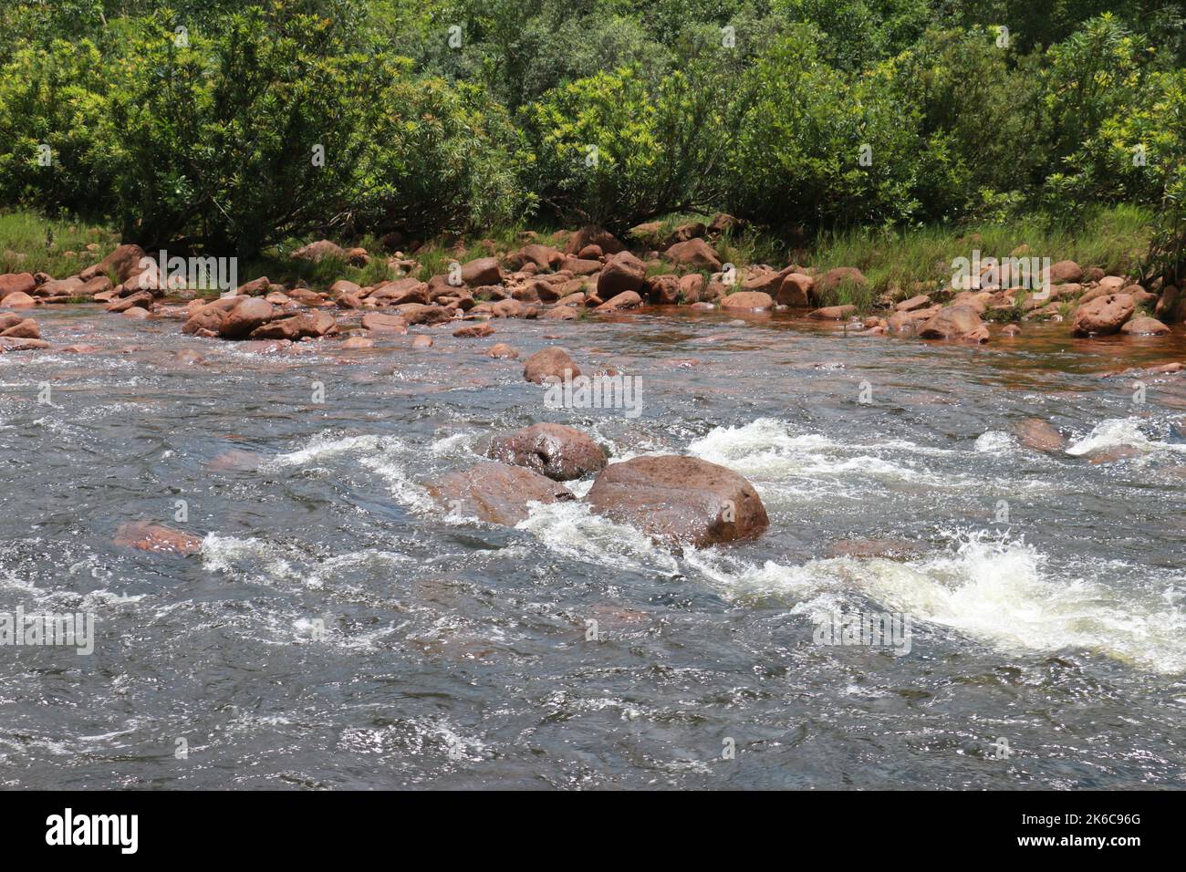 A raging river water with big rocks and trees Stock Photo - Alamy