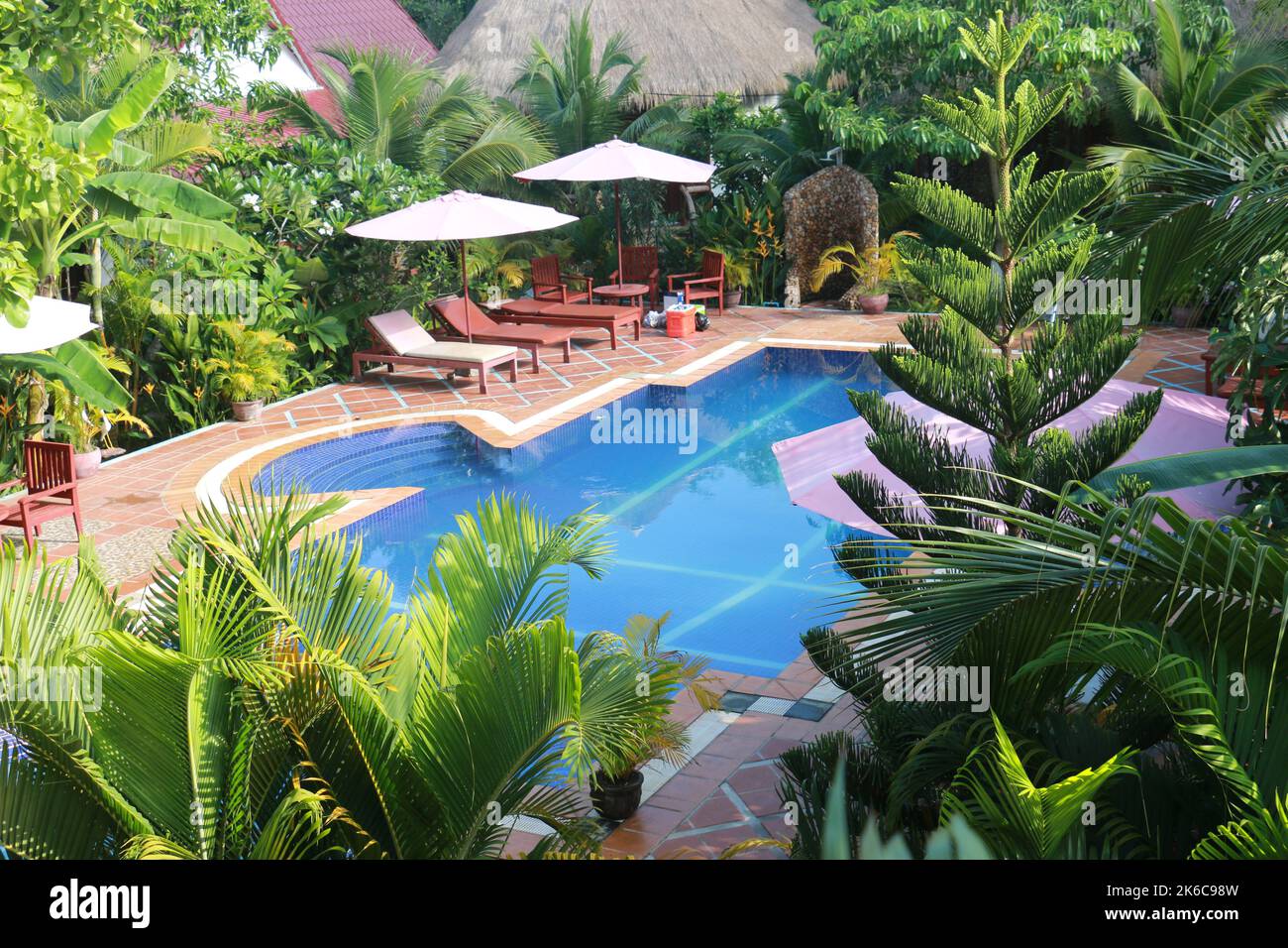 A swimming pool outside the house with pine trees growing Stock Photo ...