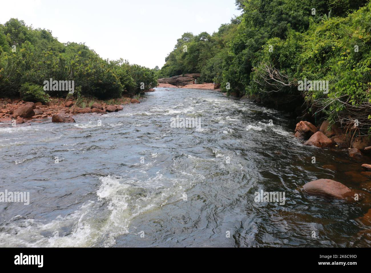 A raging river water with big rocks and trees Stock Photo - Alamy