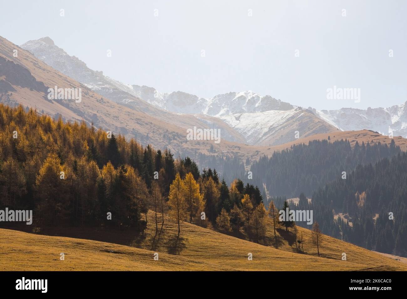 Beautiful hills covered colorful autumn hi-res stock photography and ...