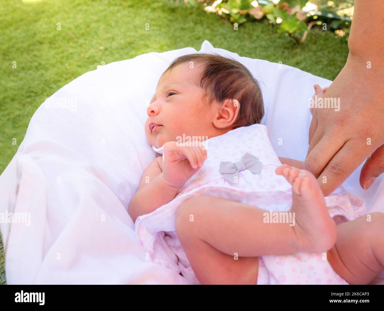 Newborn baby girl sleeping in white stroller on a walk in summer park ...