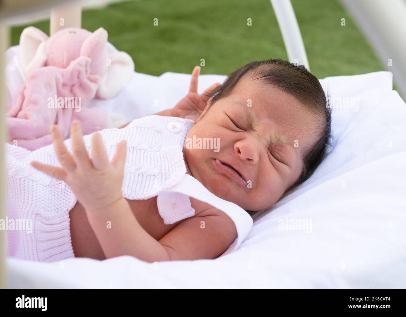 Beautiful cute newborn baby girl outside in the garden on the loan ...
