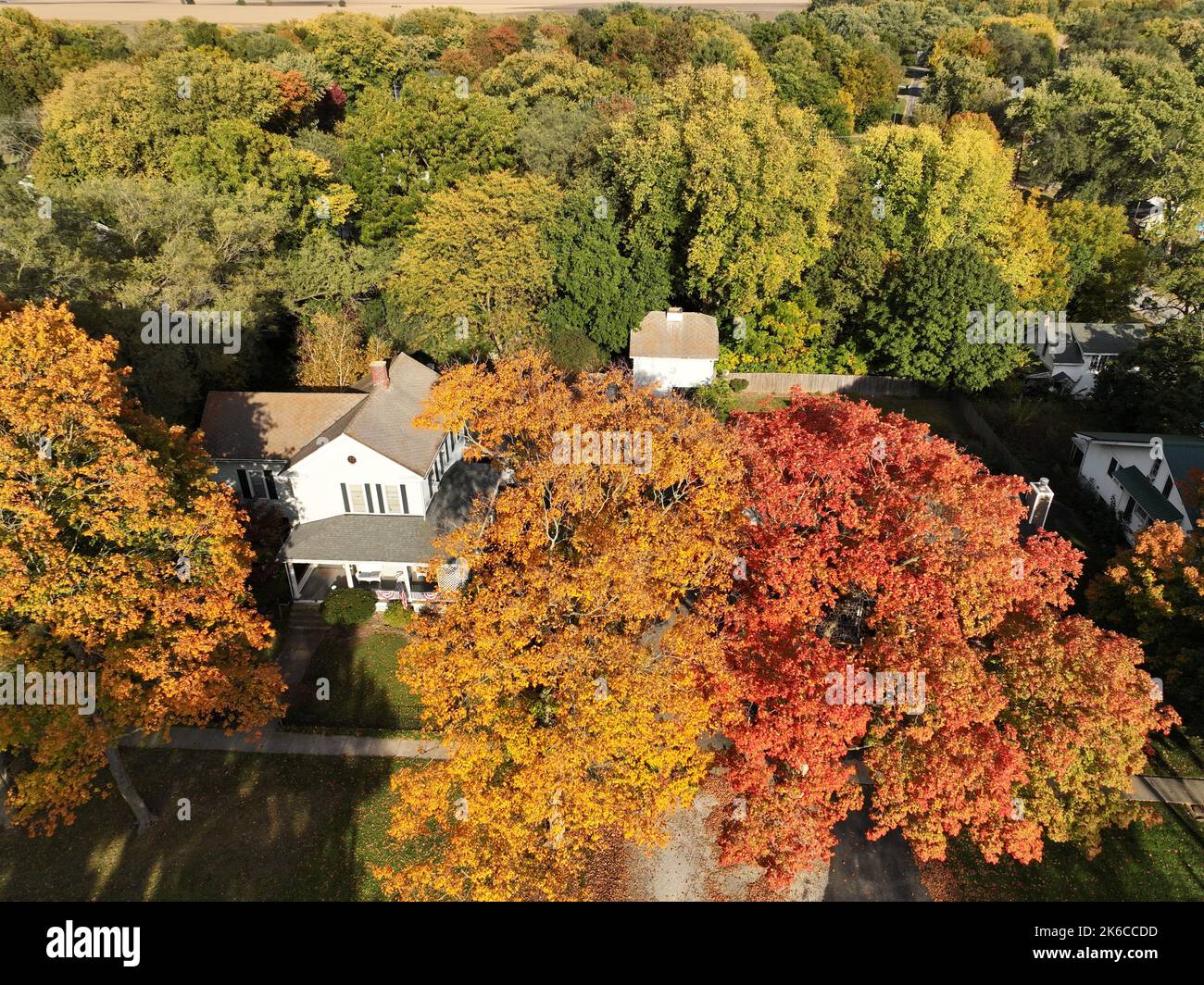 An aerial view of colorful autumn trees in a residential neighbourhood ...
