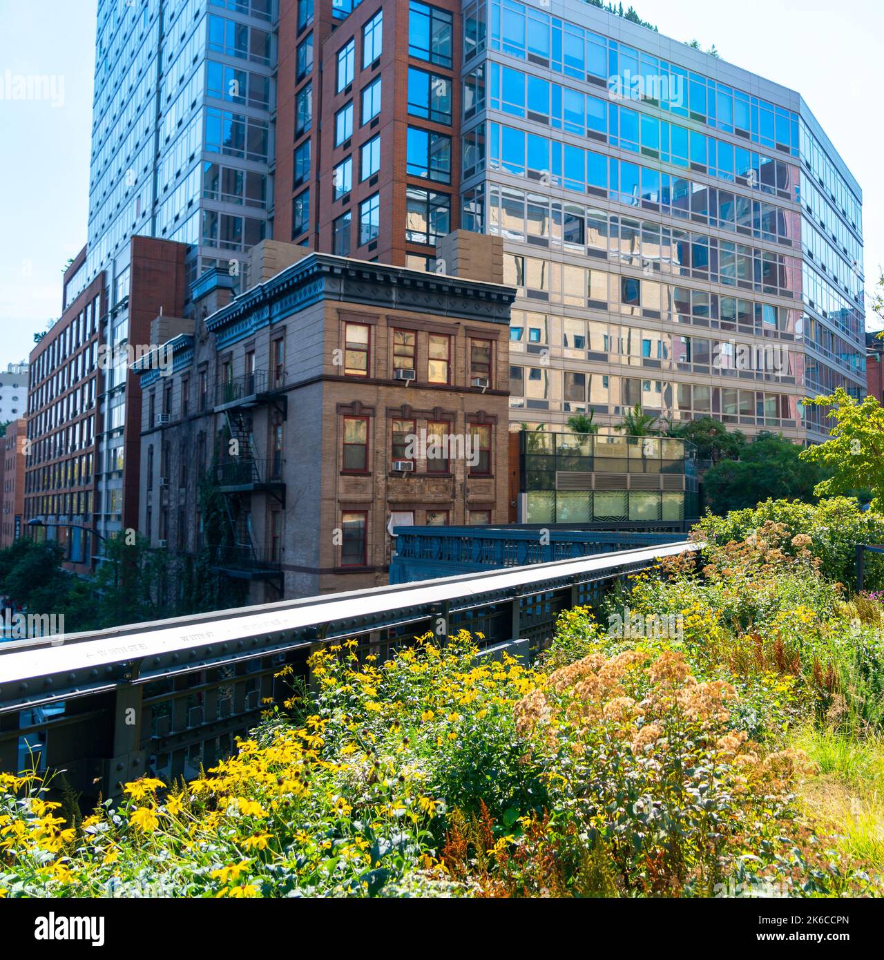 Bright park greenery against the background of the old houses of New ...
