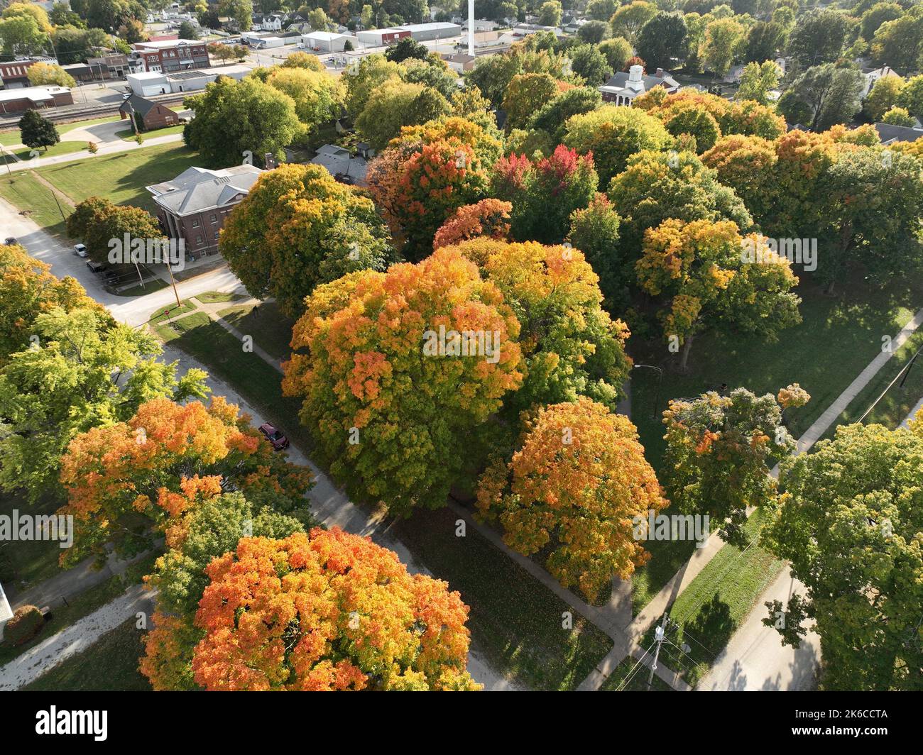 An aerial view of colorful autumn trees in a residential neighbourhood ...