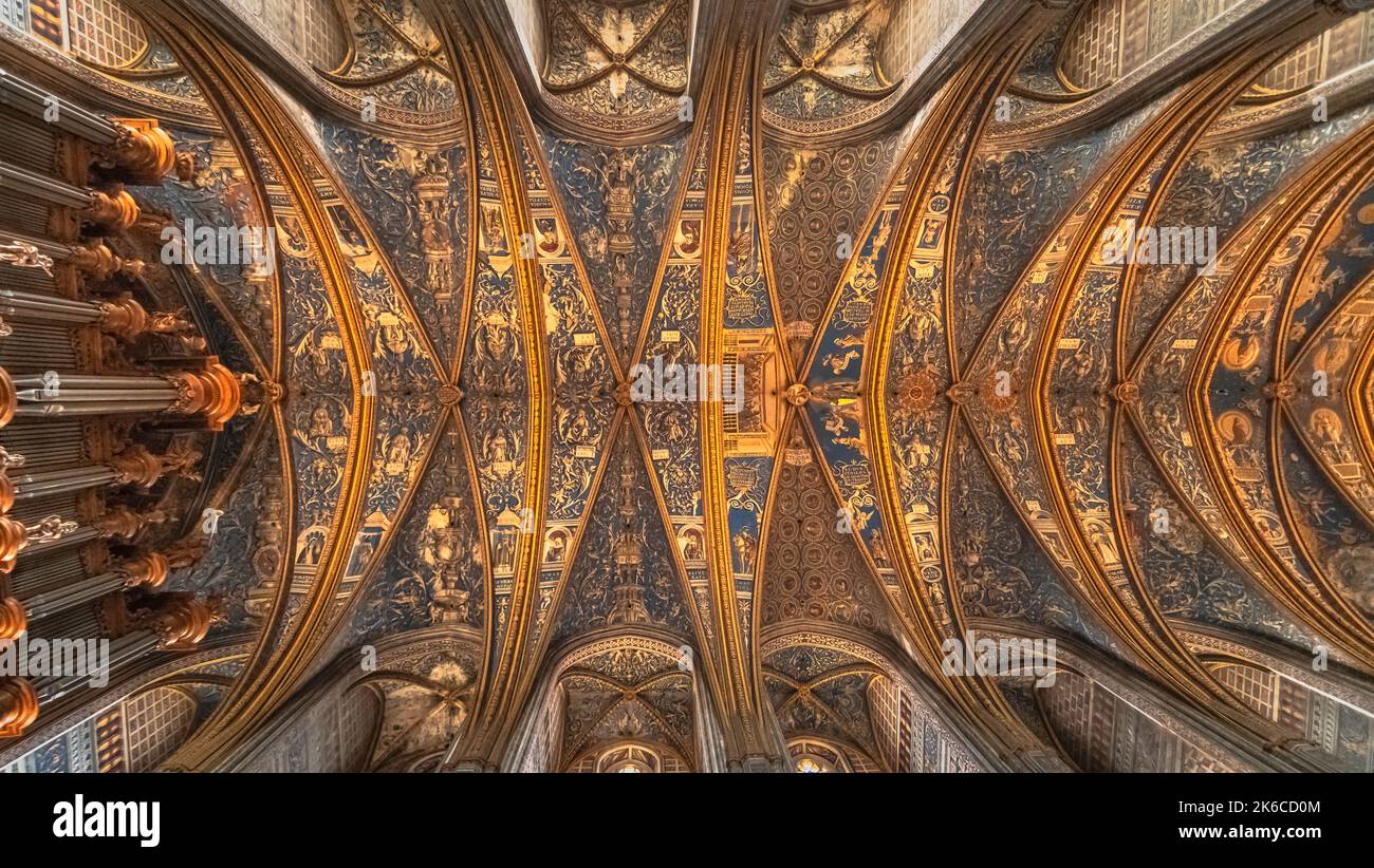 Albi cathedral interior hi-res stock photography and images - Alamy