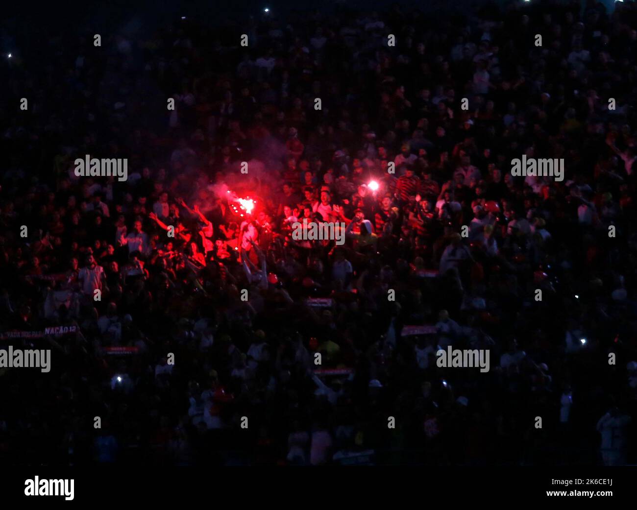 Sao Paulo, Brazil. 12th Oct, 2022. Flamengo fans during a game between ...
