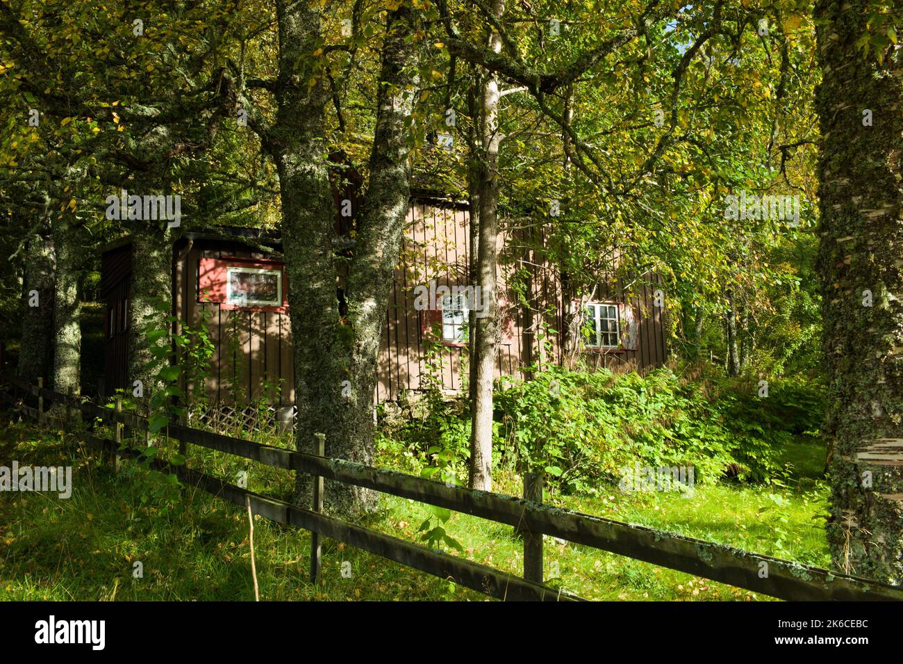 Shadowy cabin hi-res stock photography and images - Alamy
