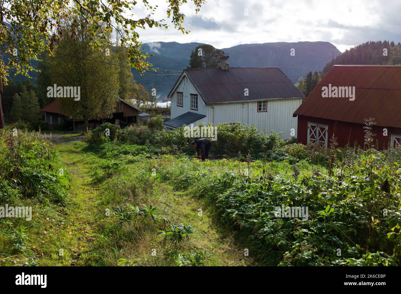 A traditional wooden house in Norwegian countryside Stock Photo - Alamy