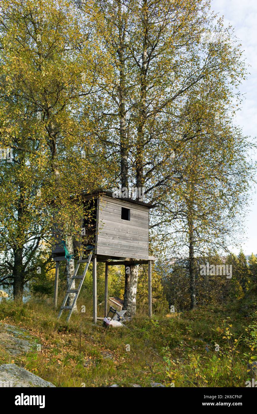 A wooden tree house in a rural Norwegian garden Stock Photo - Alamy