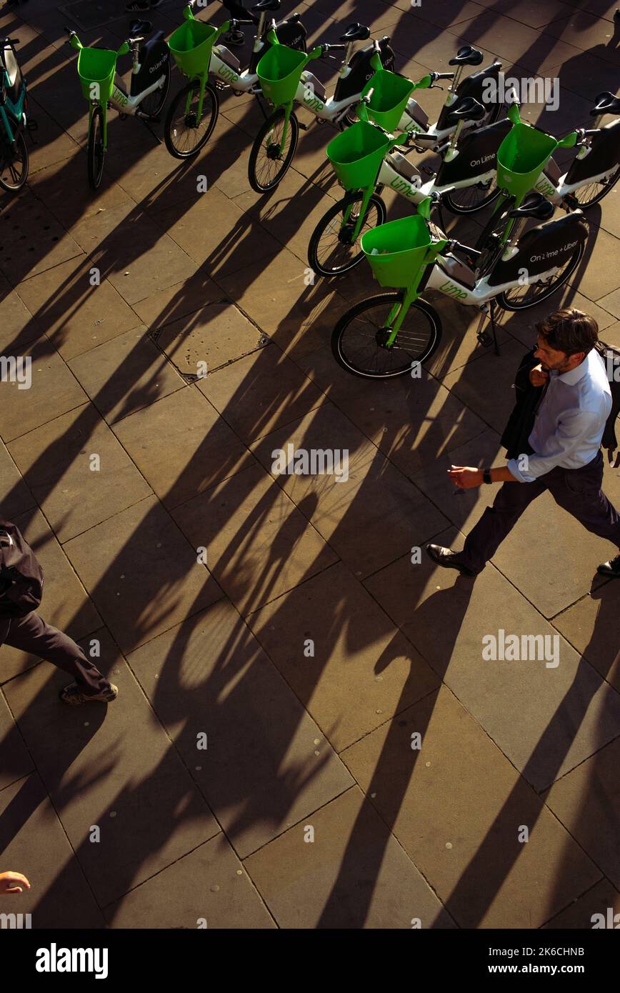 Lime cycle hi-res stock photography and images - Alamy