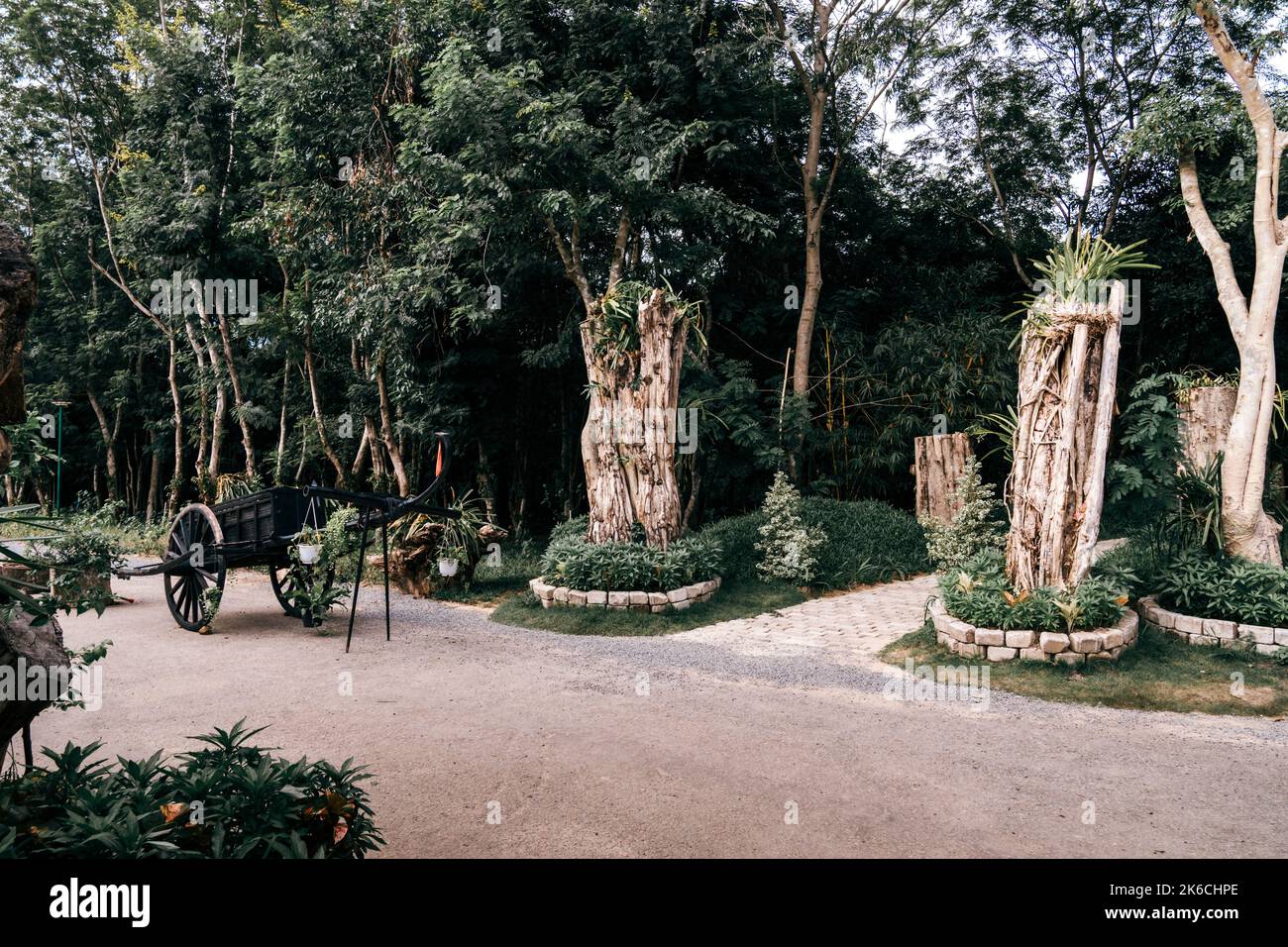A small cart holding plants on a road with a background of trees Stock ...