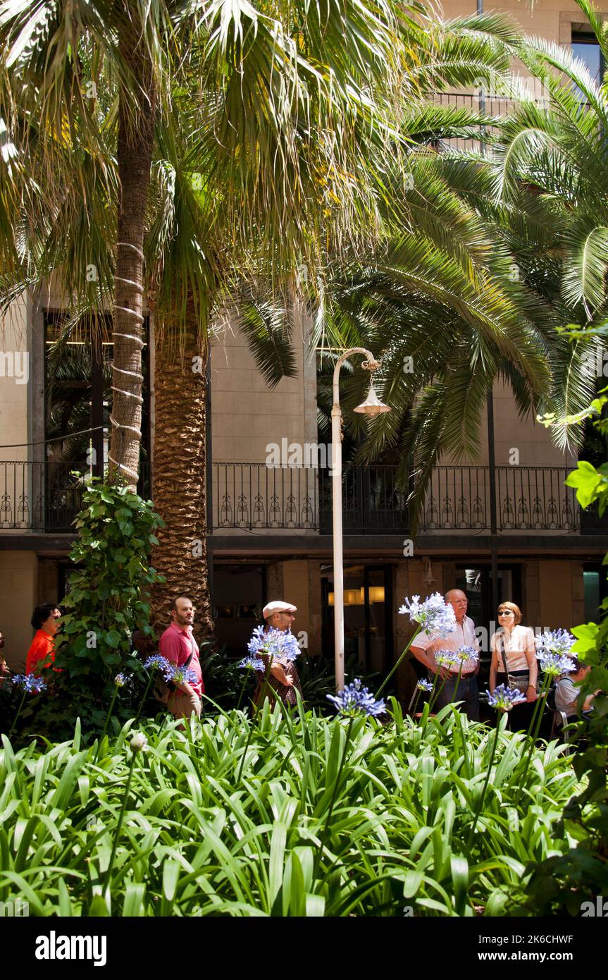 Balla tree hi-res stock photography and images - Alamy