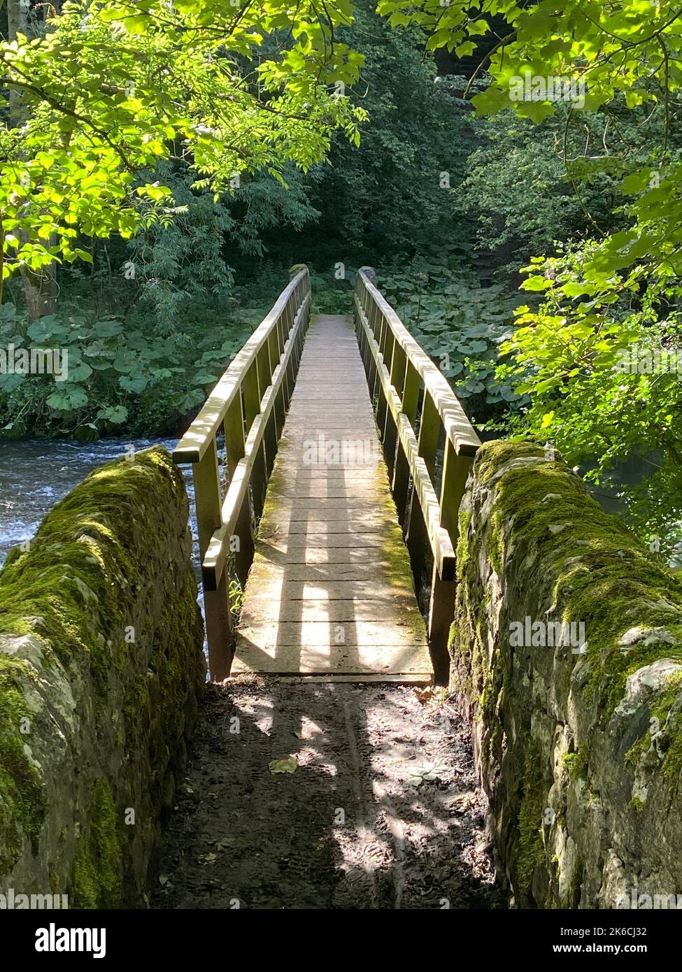 A vertical show of a narrow wooden bridge over a river leading into a ...