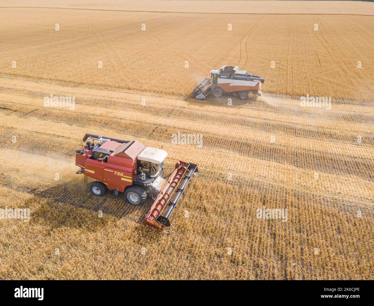 Harvest wheat grain and crop aerial view.Harvesting wheat,oats, barley ...