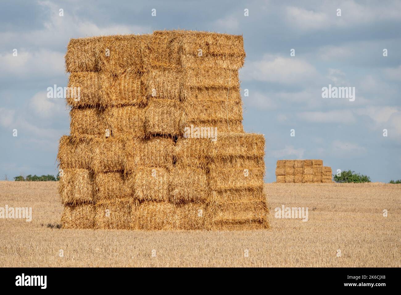 stack of oblong haybales in a field on a summer day Stock Photo - Alamy