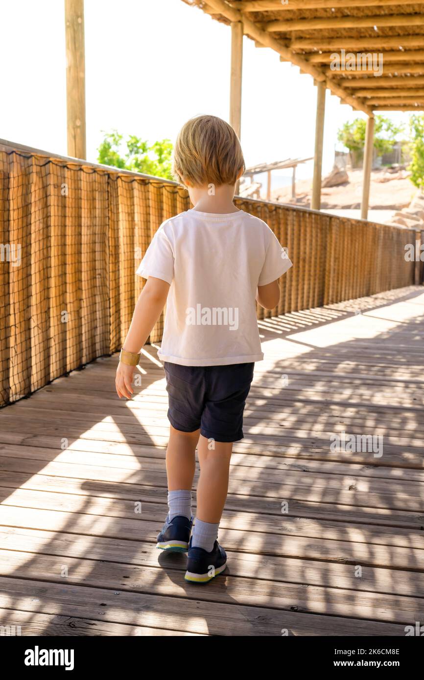 Back view on cute little toddler boy walking on the countryside road on ...