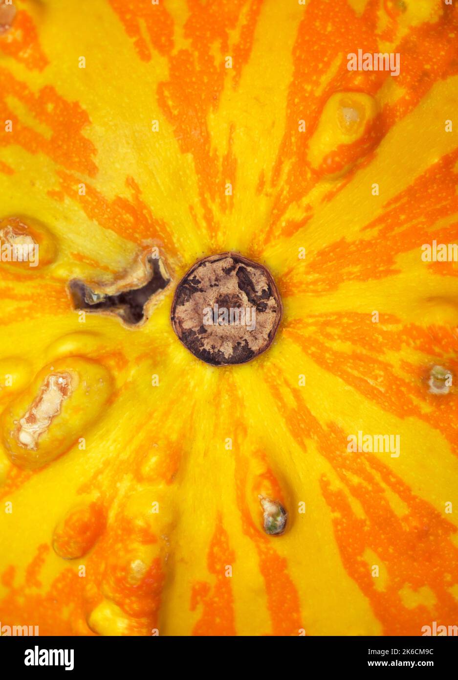 Bottom pattern hi-res stock photography and images - Alamy