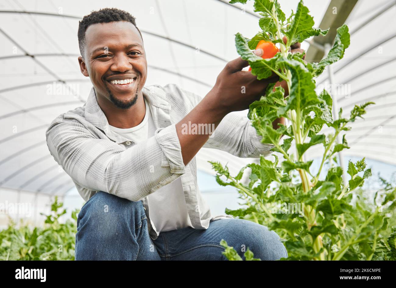 Would you look at that. a handsome young man working on his farm Stock ...