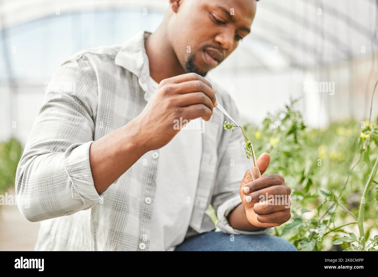 Taking a sample. a handsome young man working on his farm Stock Photo ...