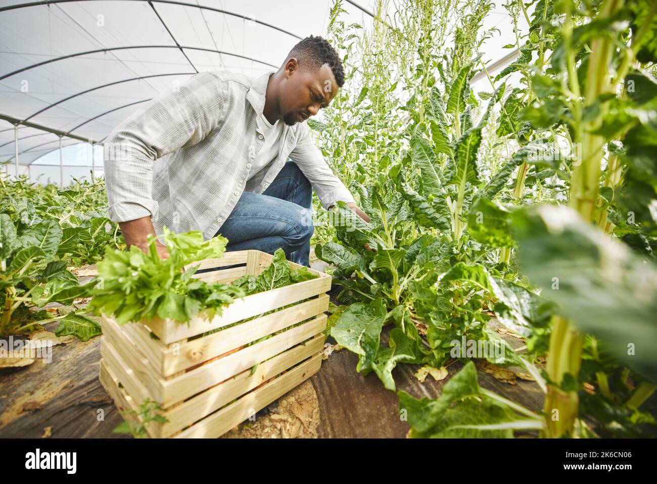The gift that keeps on giving. Full length shot of a handsome young man ...
