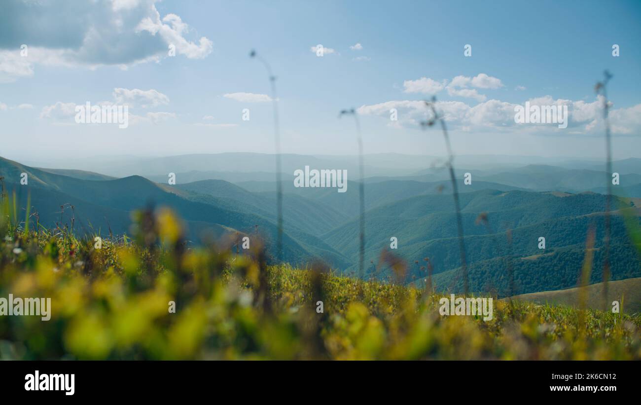 Natural aesthetic view hi-res stock photography and images - Alamy