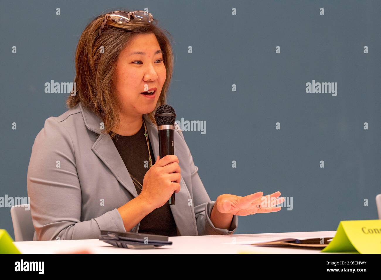 Congresswoman Grace Meng (D-NY) speaks during a roundtable conversation ...