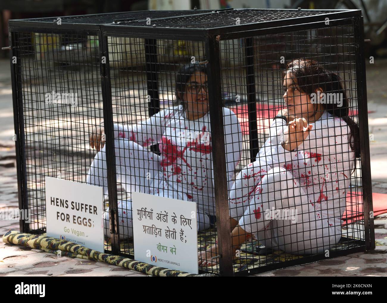 New Delhi, Delhi, India. 13th Oct, 2022. Volunteers from Mercy For ...