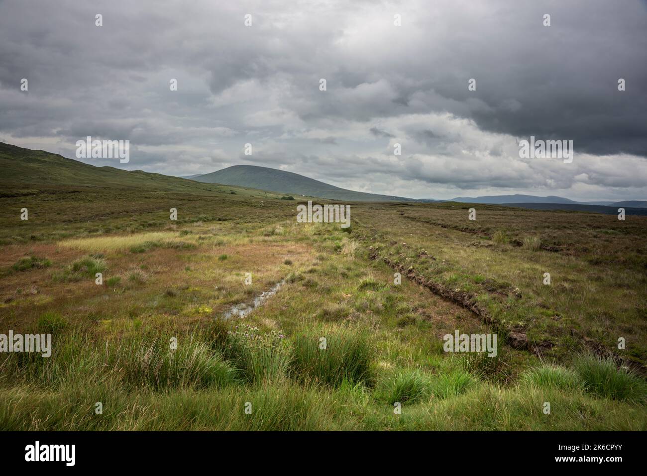 Peatland where peat is still cut every year, on the south side of Wild ...